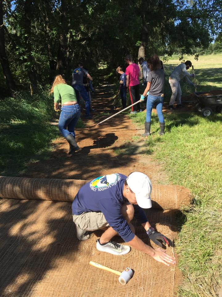 Soil Conservation Project on the Bank of Arcade Creek – Sacramento Area ...